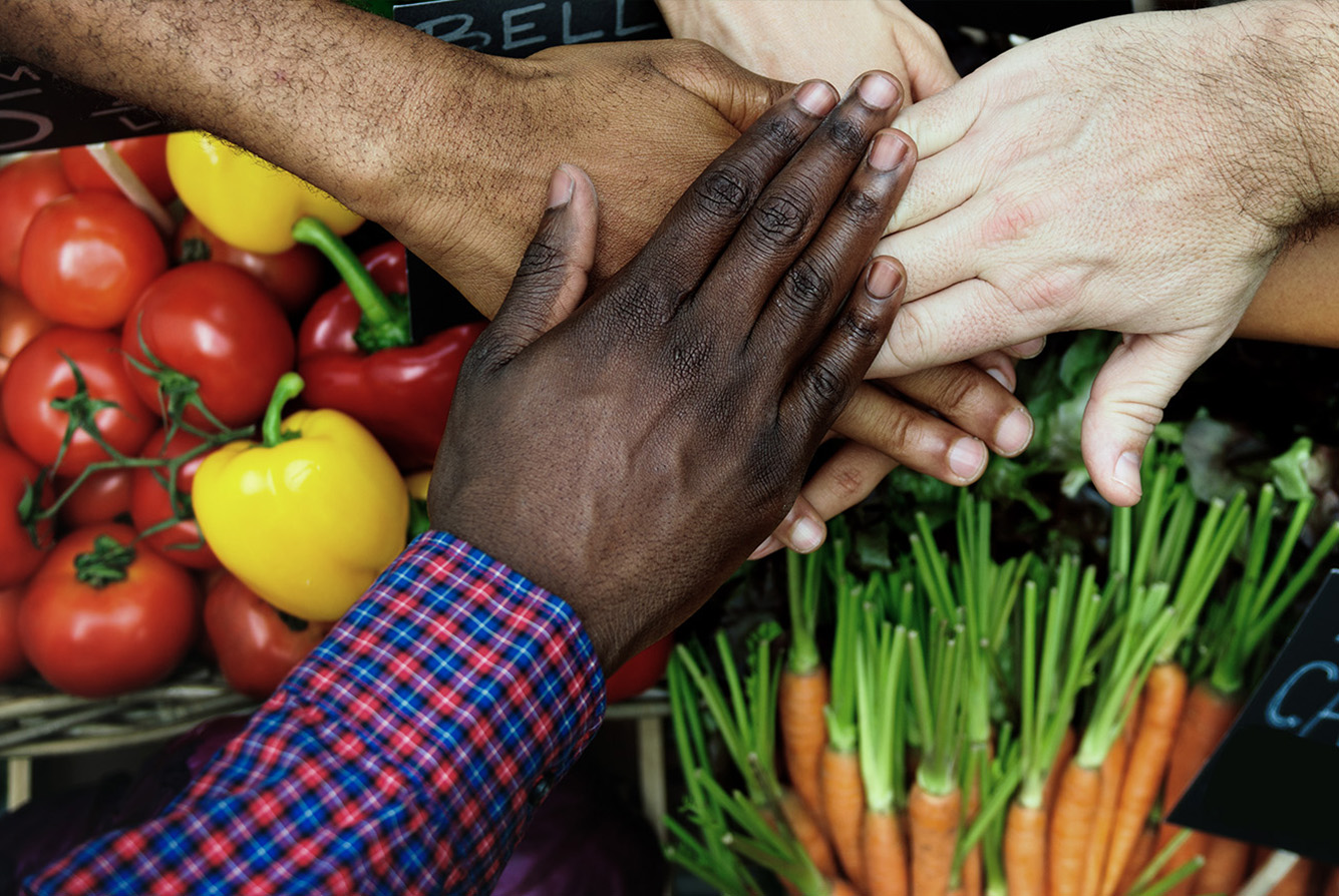 INCiTiS-FOOD - Foodscale Hub